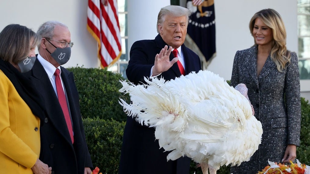 Trump’s Thanksgiving Proclamation Touts Pandemic Courage - But Still ...