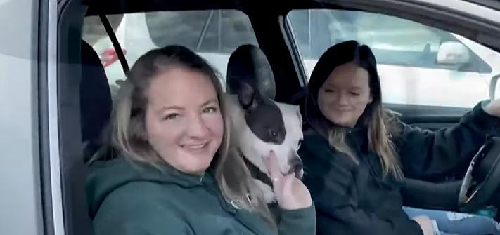 Dog (Bella) Who Chewed Off Her Leg to Escape Gets Adopted by Couple ...