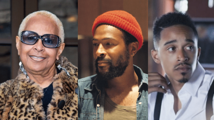 Zeola Gaye Takes Issue with 'Rebirth of Marvin' Album