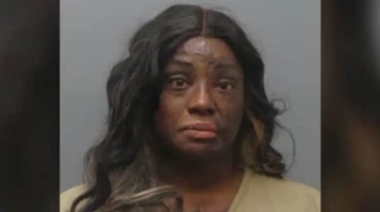 Woman Arrested After Shooting Thieves Fleeing from Burning Car