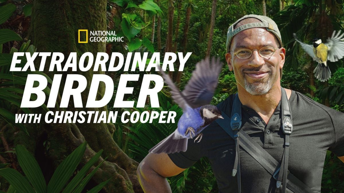 'Extraordinary Birder With Christian Cooper' Wants Nature To Inspire ...