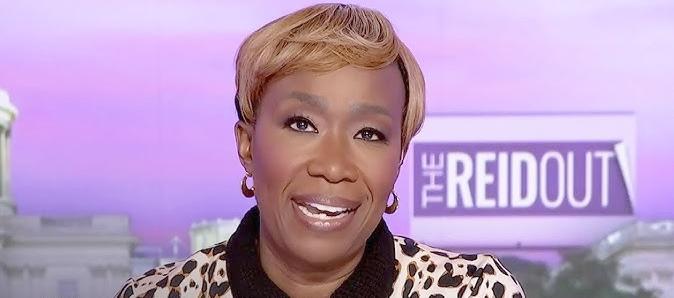 Joy Reid's Show Cancellation Sparks Debate Among Critics