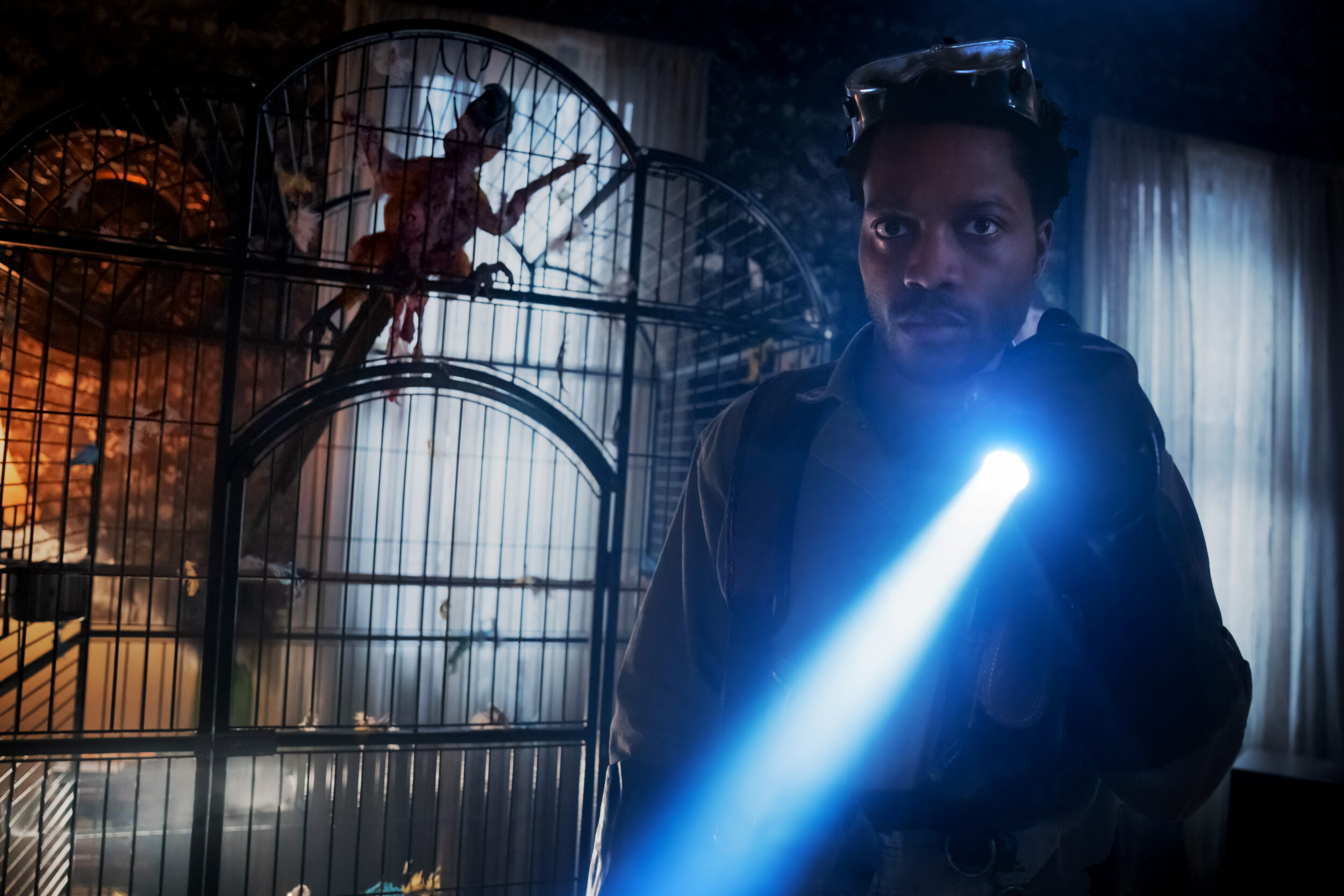 Official Trailer and Key Art Released for 'Sting' Thriller | Watch