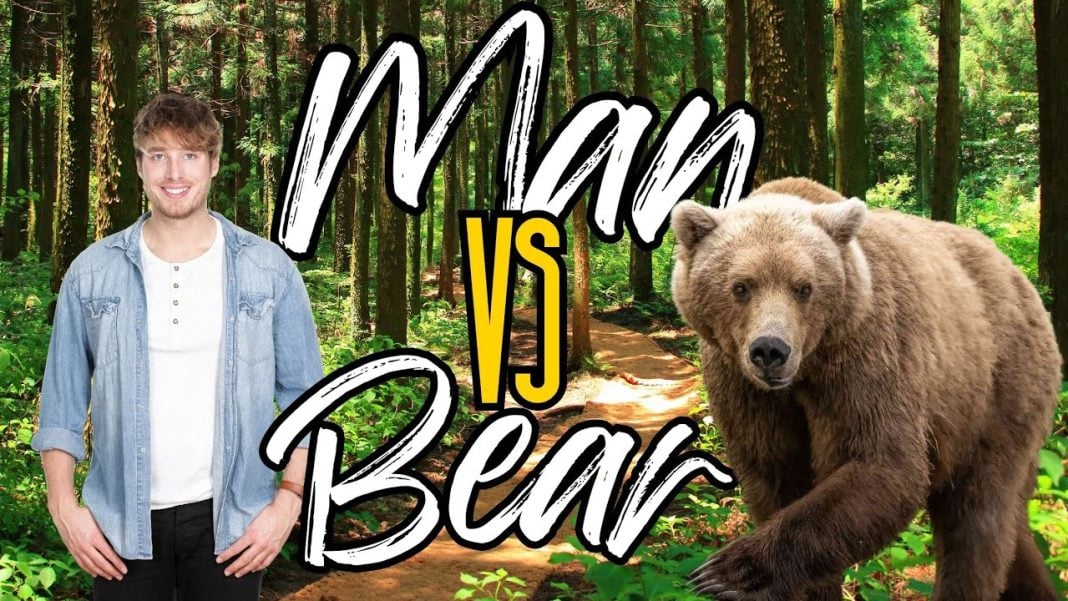 Viral TikTok: Man vs. Bear Highlights Women's Violence